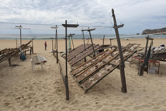 Sesimbra, Azeitao and Setubal Private Tour with Wine Tasting - The Sum Up