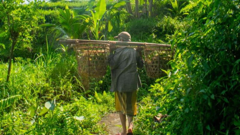 Sidemen Trekking: A Walk from Different Perspective - Why This Tour Offers Great Value