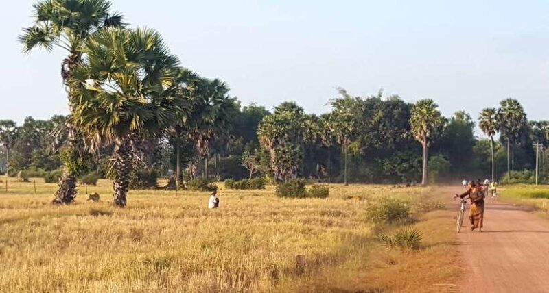 Siem Reap: 3-Hour Ancient Trails Motorbike Tour - What Travelers Say