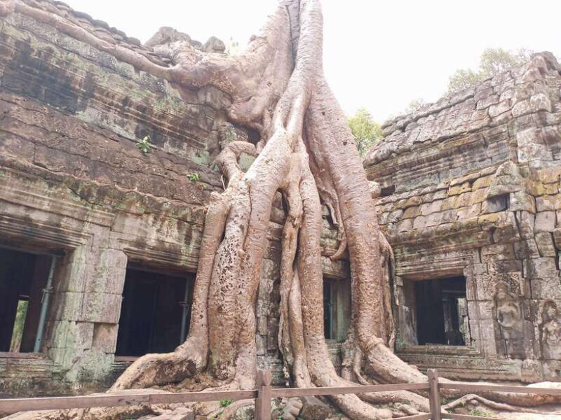 Siem Reap: 4 Hour-Ta Prohm and Banteay Kdei Guided Tour - Who Will Love This Tour?