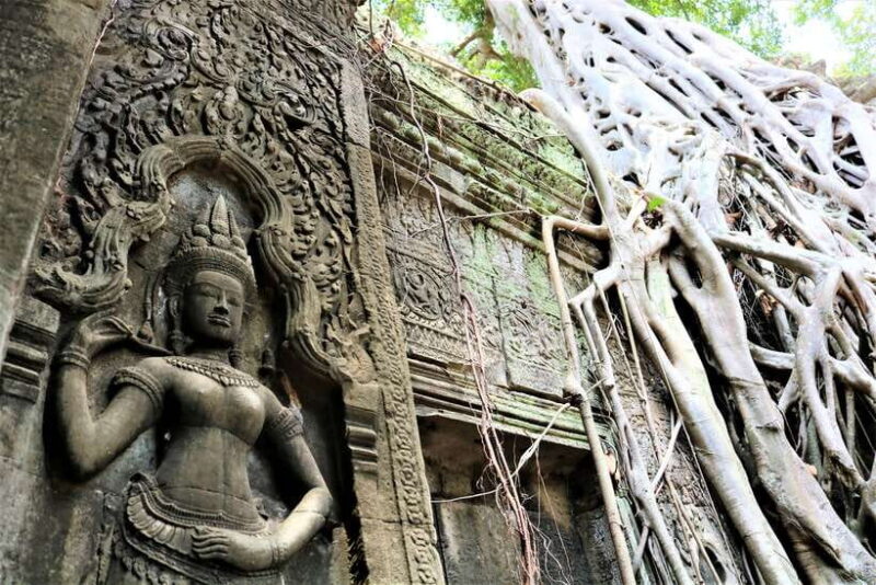 Siem Reap: Angkor Wat Sunrise and Tonle Sap 1.5 Days - The Haunted Beauty of Ta Prohm