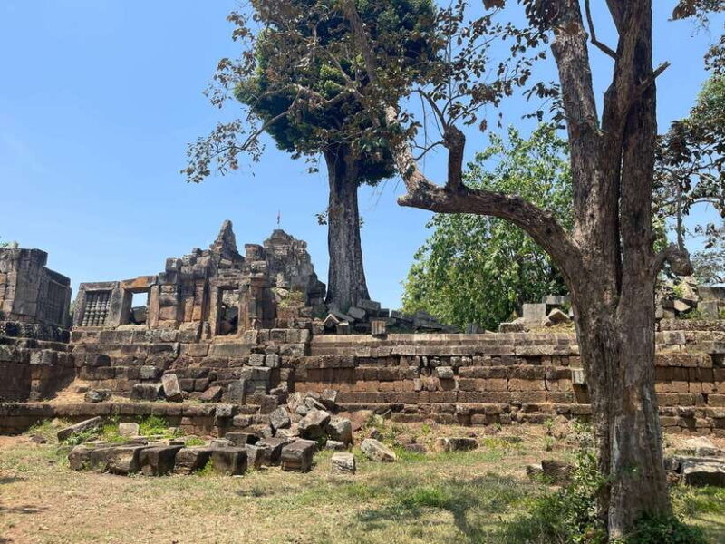 Siem Reap to Battambang: Bamboo Train and Bat Cave - Who Would Love This Tour?