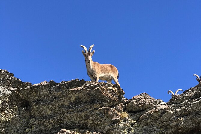 Sierra Nevada Safari 7 hours tour from Granada - Short Hikes and Scenic Stops