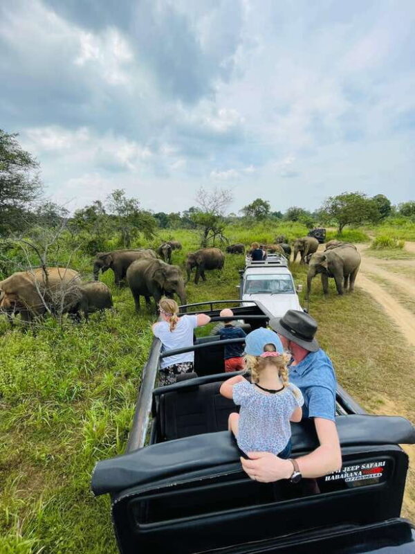 Sigiriya: Elephant Jeep Safari at Minneriya National Park - Frequently Asked Questions