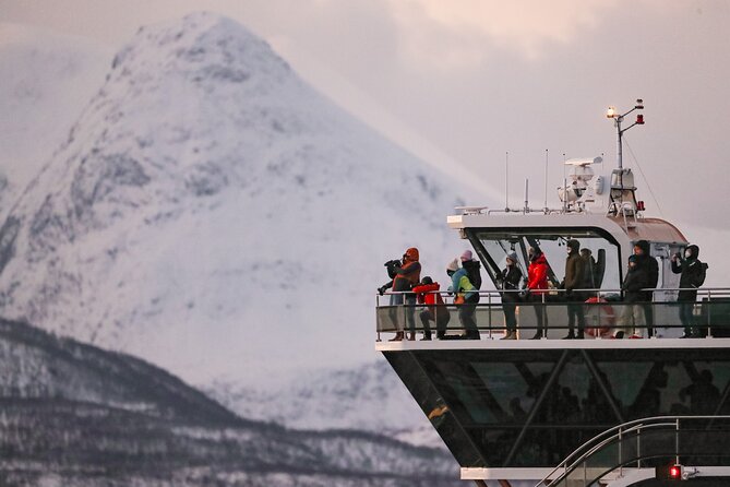 Silent Whale Watching - Final Thoughts