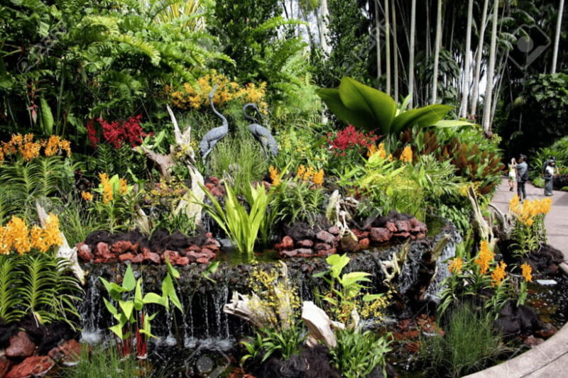 Singapore: National Orchid Garden Admission - Final Thoughts