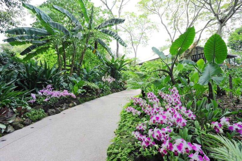Singapore: National Orchid Garden Entry Tickets - Accessibility and Additional Details