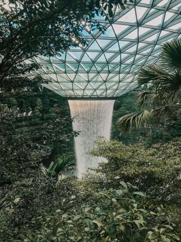 Singapore: Premium Fitness Pass - Practical Tips for Making the Most of the Pass