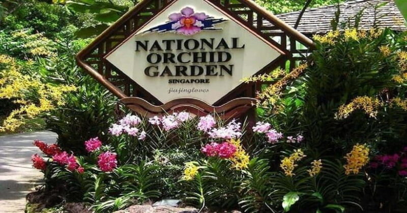Singapore: Private Full-Day Island Tour - Is It Worth the Price?