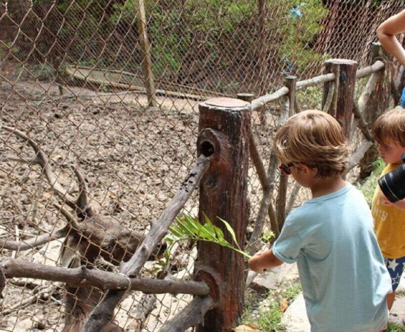 Small Group to the Monkey Island and Can Gio Mangrove Forest - Who Should Consider This Tour?