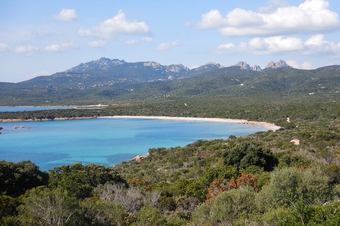 Smeralda Boat Tour and snorkeling - Unique Activities: Bottling Wine and Designing Labels