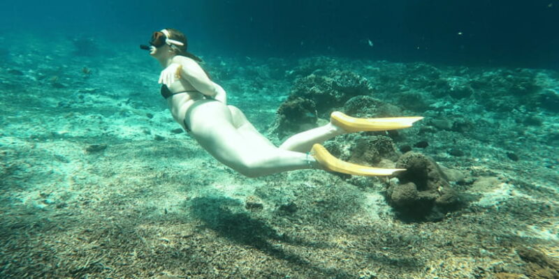 Snorkeling Nusa Penida Expedition 4 Point - What’s Included and What’s Not