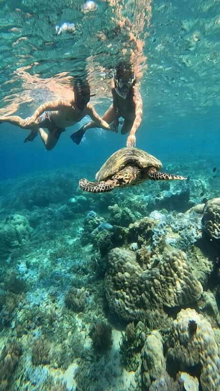 Snorkeling to Gili Nanggu, Tangkong, Sudak and Kedis - A Well-Organized, Authentic Experience