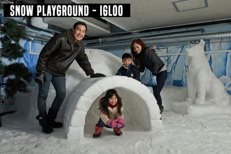 Snow City Singapore 1-Hour Play Ticket - Review Highlights and Traveler Feedback