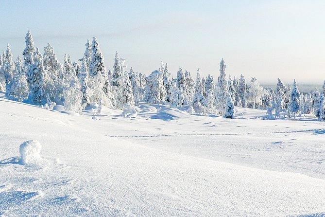 Snowmobile Driving - Afternoon start - Who Will Love This Tour?