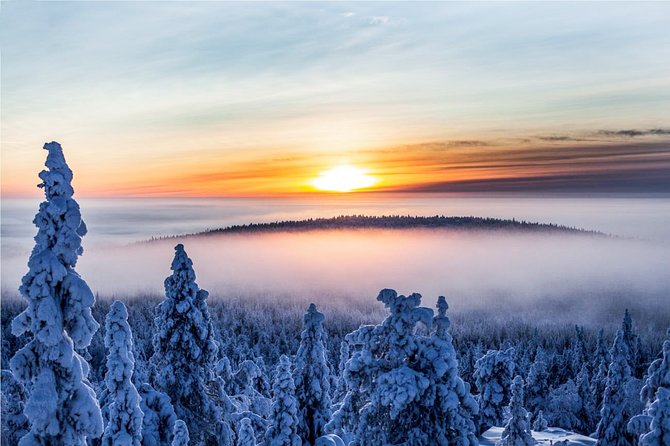 Snowmobile Safari in the Nature - Morning start - The Sum Up: Who Should Consider This Snowmobile Safari?