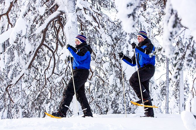 Snowshoe Trip in the Forest - In The Sum Up