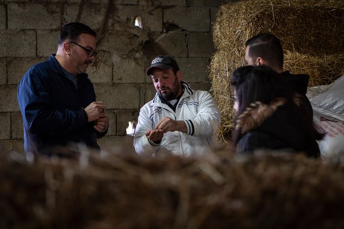 Sorrento Farm by Tuk Tuk: Cheese, Limoncello & Hands-On Pizza - Practical Considerations: What to Know Before You Book