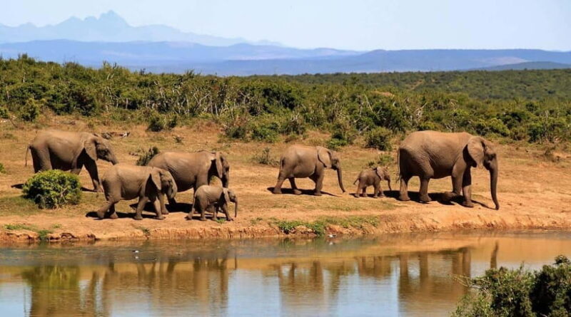 Sri Lanka 11-Day Private Tour: Guide, Car, Hotels, Meals - Practical Considerations and Tips