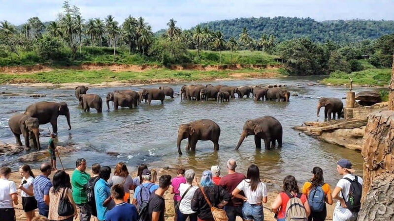 Sri Lanka 4-Day Kandy & Nuwara Eliya Tea & Hill Country Tour - Scenic Drive to Nuwara Eliya and Tea Country