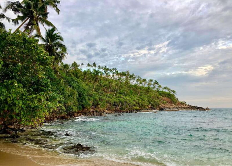 Sri Lanka 4 Days Sightseeing Tour with 4 Days Beach Holiday - What’s Included and What’s Not