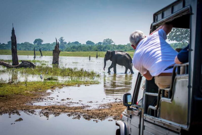 Sri Lanka: 5 Days Multi City Sightseeing Tour - Who Will Love This Tour?