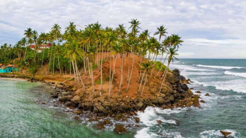 Sri Lanka: 6-Day Luxury Honeymoon Tour - What’s Included and What to Expect
