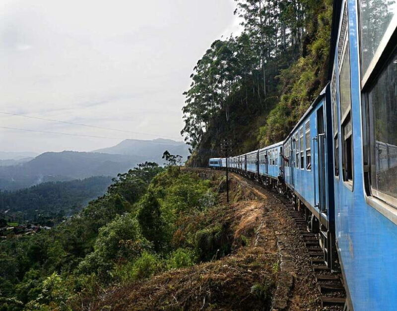 Sri Lanka Ancient Temple, Wildlife, Hill Country Train - Who Would Love This Tour?
