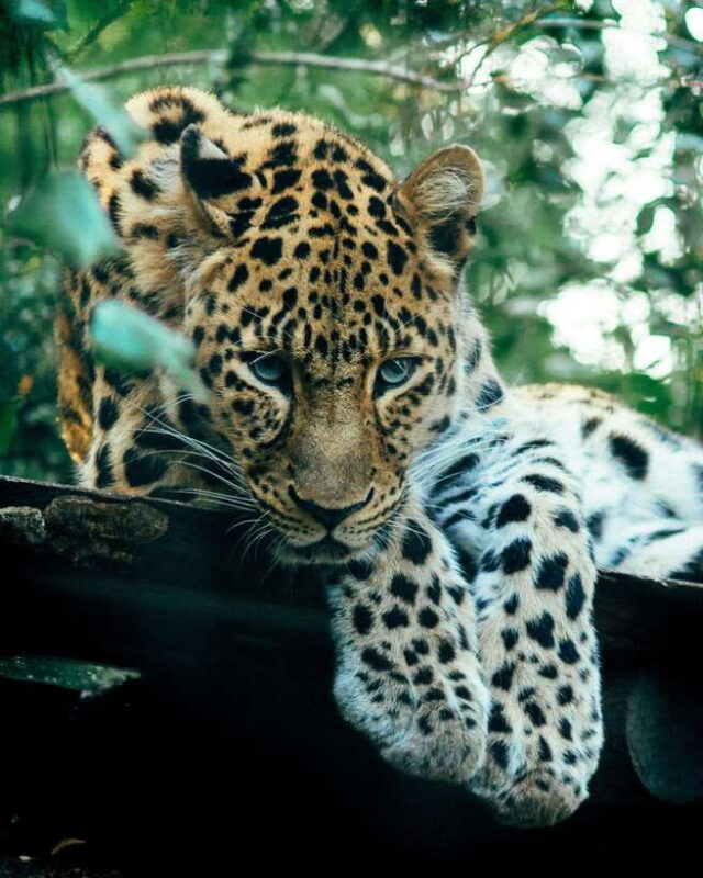 Sri Lanka Private 10-Day Round Tour Car, Guide, Hotels, Food - Practical Considerations