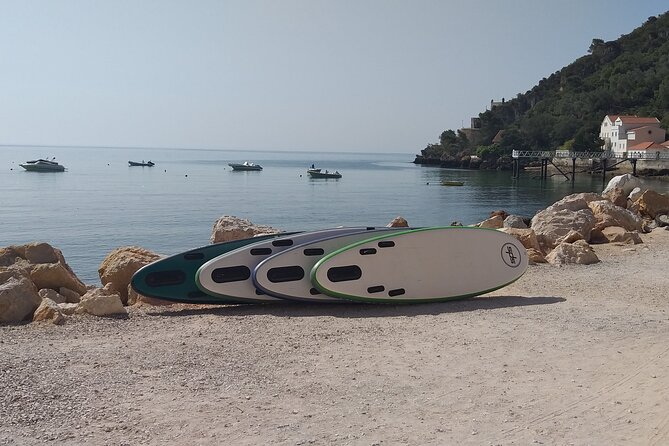 Stand Up Paddle Experience at Portinho da Arrábida - Who Should Consider This Tour?