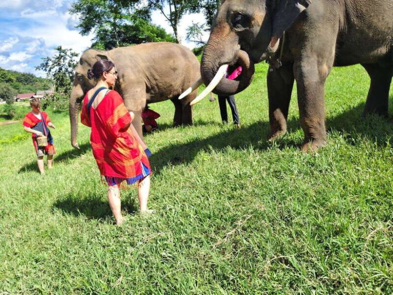 Sticky waterfalls- Elephants- Bamboo or White water rafting. - Who Is This Tour Best For?