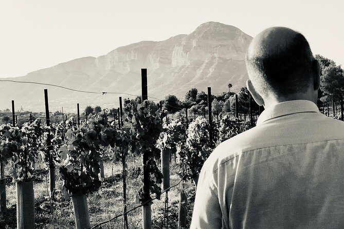 Sunset among Vineyards with Tasting in Alicante (min 6-12 people) - Practical Details: What to Know Before You Go