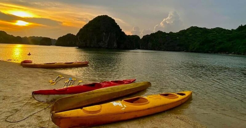 Sunset and Magical Bioluminescence plankton Night Kayak Tour - What Travelers Say: Authentic Perspectives