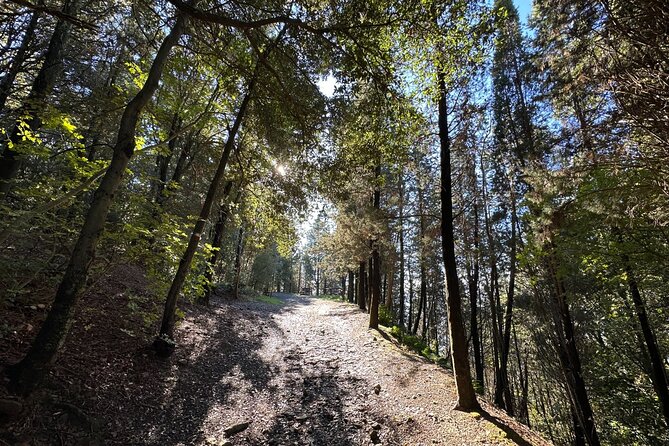 Sunset Hike in Fiesole with Aperitivo - Transportation and Practical Details