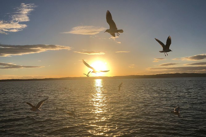 Sunset Tour in Sirmione - Concluding Note
