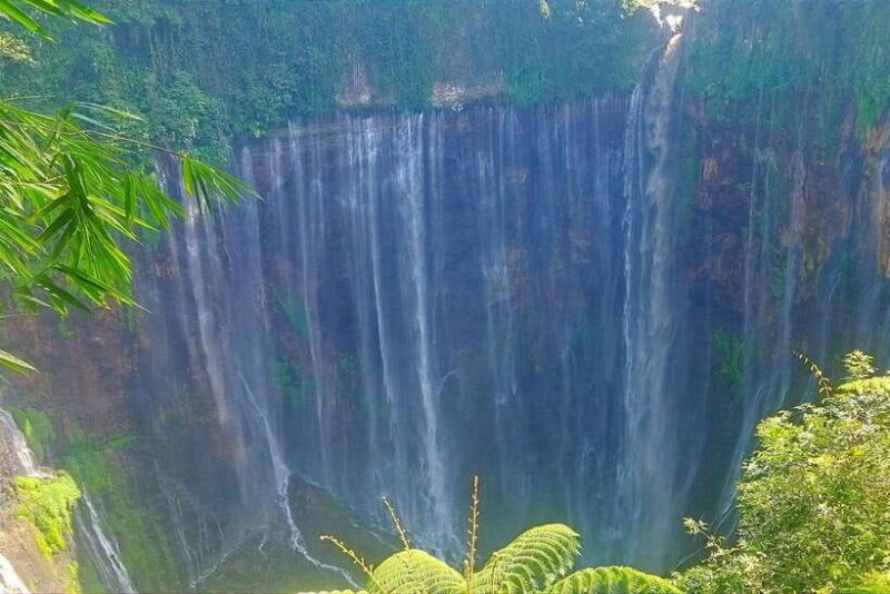 Surabaya or Malang : Bromo, Tumpaksewu waterfall in 2 days - Why This Tour Offers Great Value