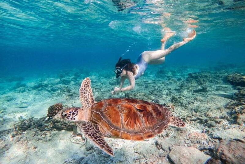 Surabaya to Bali: All Inclusive 9-Day Tour with local guide - The Value of an All-Inclusive Tour