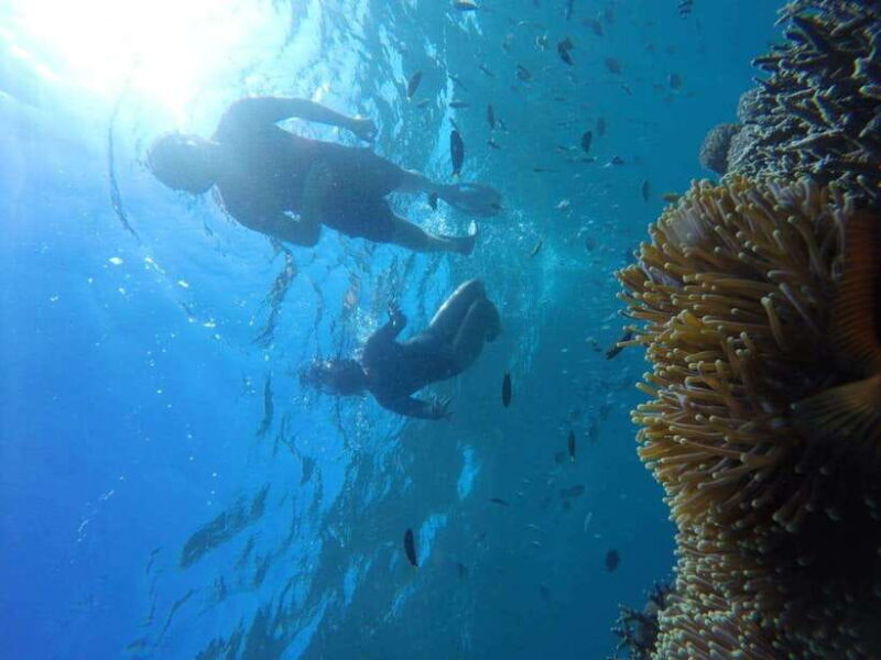 Tangsi Beach, Gili Gambir and Gili Petelu Snorkeling trip - What to Bring and Considerations