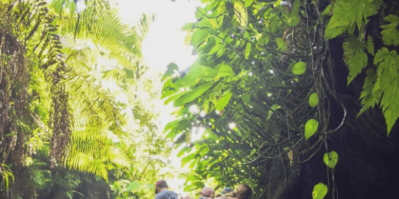 Tetebatu: Rice Fields, Waterfall, & Monkey Forest Day Tour - Visiting Waterfalls and Water Fun