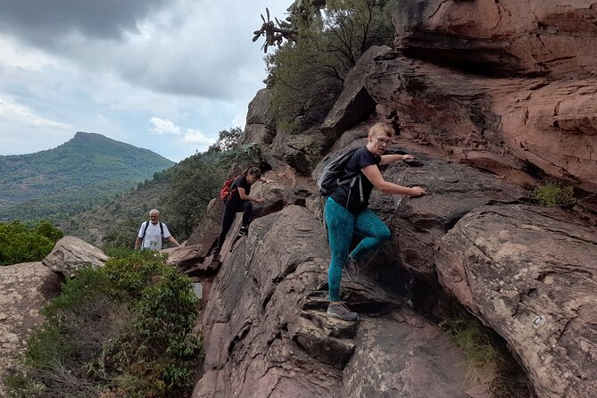 The Adventurous Route to Mirador del Garbí - Who Should Consider This Tour?