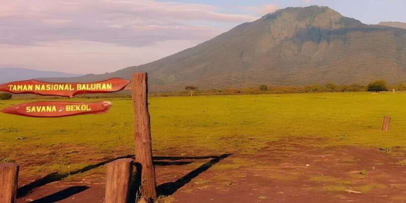 The Authentic Sunset Of Baluran National Park Banyuwangi - What’s Included and What’s Not