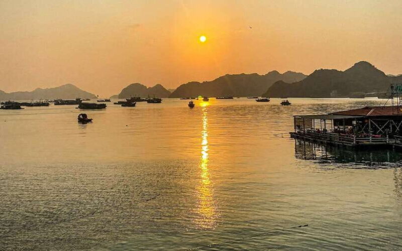 The Newest and Most Luxurious Cruise on the Bay-Day Trip - The Experience You’ll Love and Consider