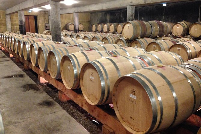 The Original Syrah Wine Tour (9:00 am - 1:30 pm) - Small Group Tours from Lyon - Who Will Love This Tour?