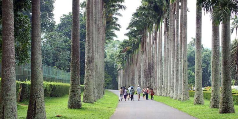 Three Temples Loop In Kandy Day Tour By Tuk Tuk - The Experience from a Traveler’s Perspective