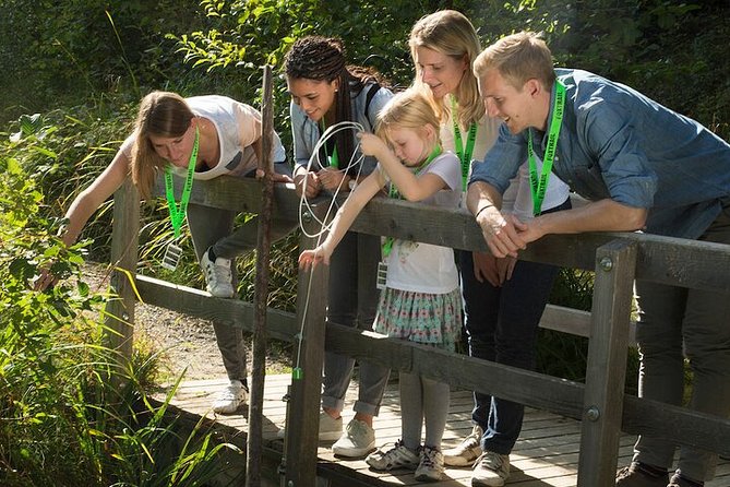 Thun Foxtrail Treasure - The Experience: What Youll Love and What to Watch Out For