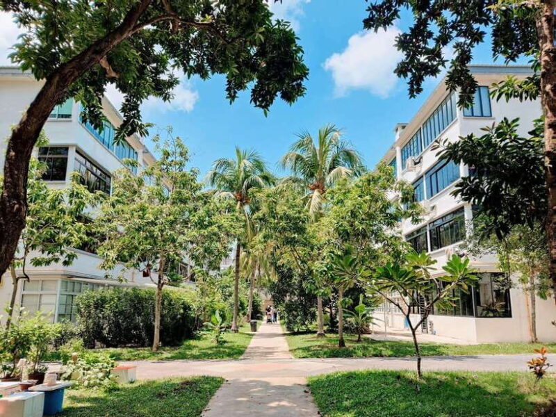 Tiong Bahru: Explore Singapore's Oldest Estate (Mandarin ) - Artistic Touches: Murals and Hidden Streets