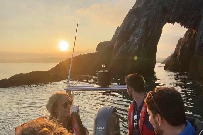 Torquay Coastal RIB Seafari - The Reviews: What Travelers Say