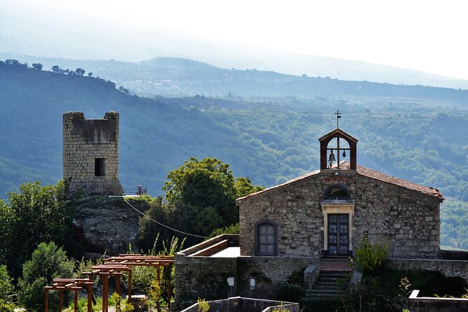Tour of the Etna cellars, typical lunch and wine tasting - The Sum Up: Who Should Consider This Tour?
