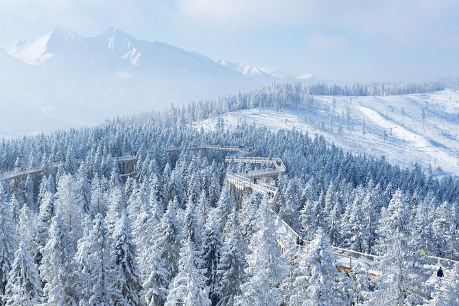 Treetop Walk in Slovakia and Thermal Baths from Krakow - Concluding Thoughts: Is It Worth It?