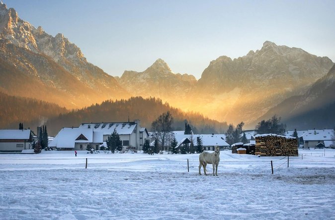 Triglav National Park and the Alps Private tour - Practical Tips